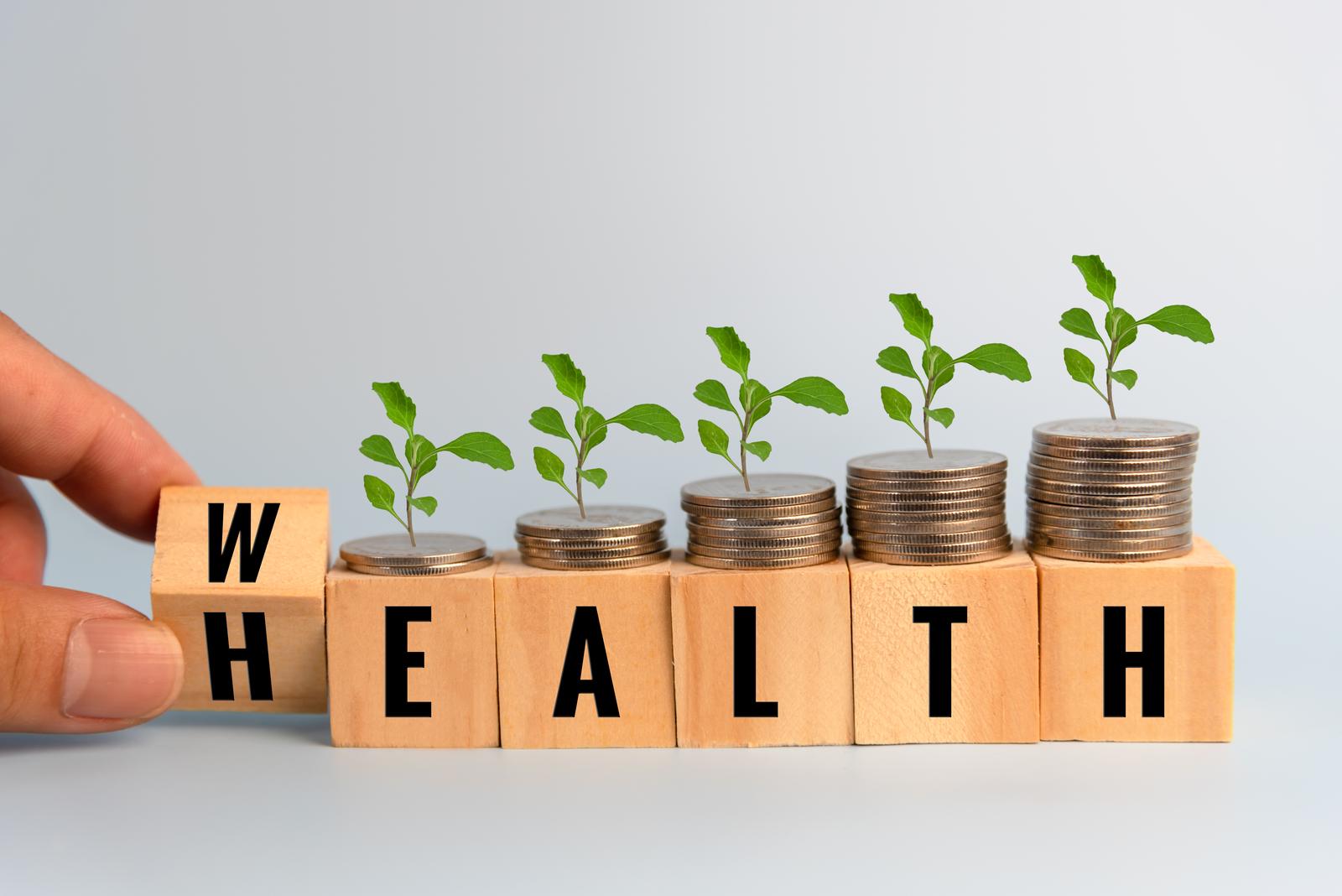 Accelerate Your Wealth : Fulfill your potential in 2024